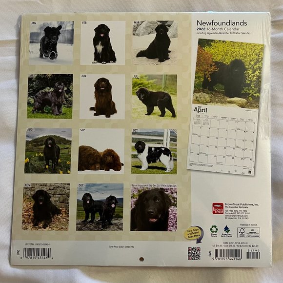 Wall Decor | Newfoundlands Calendar 222 Deluxe 2022 Newfoundland Wall ...
